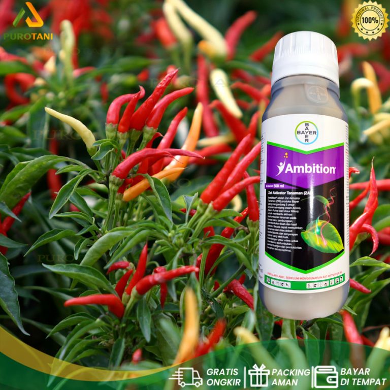 Jual Ambition 500ML Asam Amino Fulvat Mikro Zat Aktivator