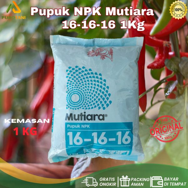 Jual Pupuk NPK Mutiara 1 Kg 16-16-16 Terbaru Juni 2026