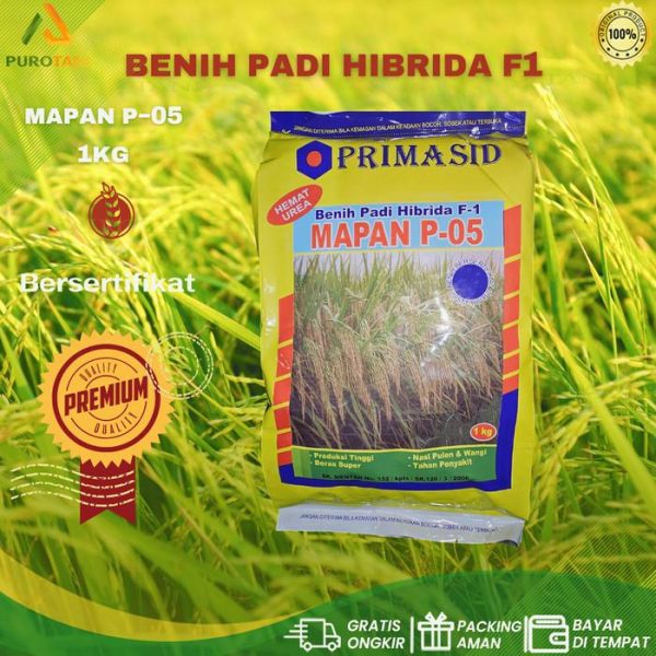 Jual Benih Padi Hibrida F-1 Mapan P-05 PRIMASID 1kg Terbaru